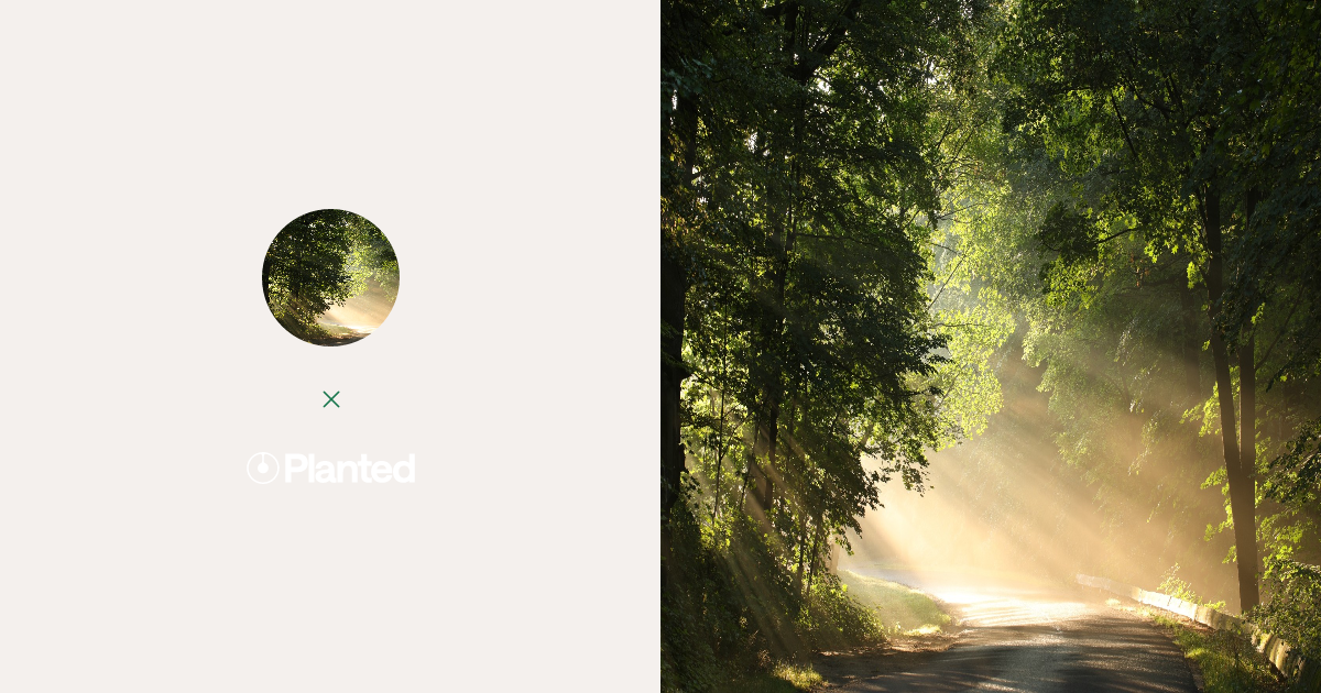 Olaf Dicker | Impact Page